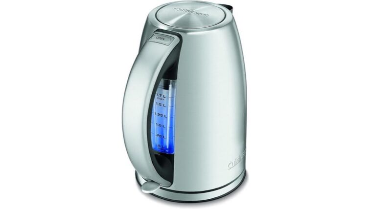 SAKI Luna Electric Kettle: Review and Testing - Stainless Steel Tea Kettles